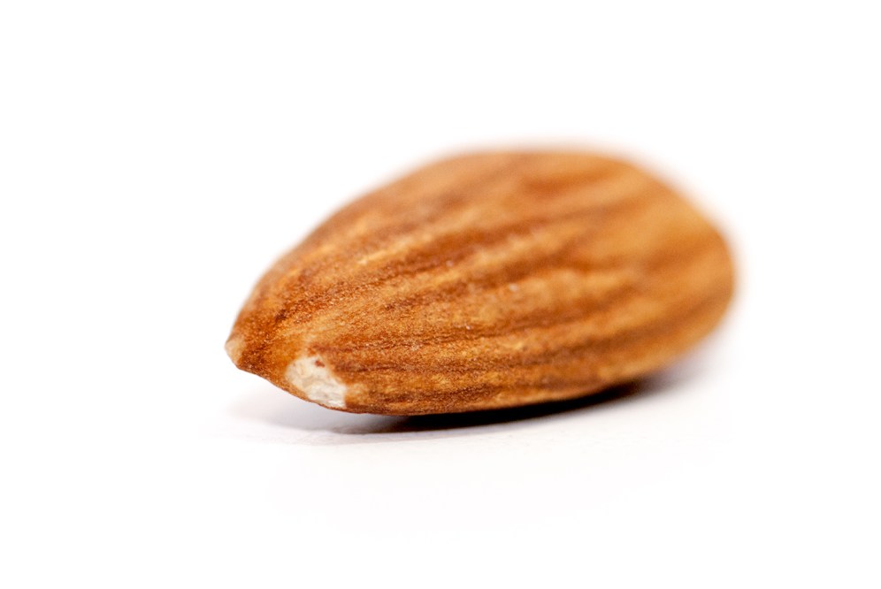 Almond Milk the Medieval Way – A Dollop of History