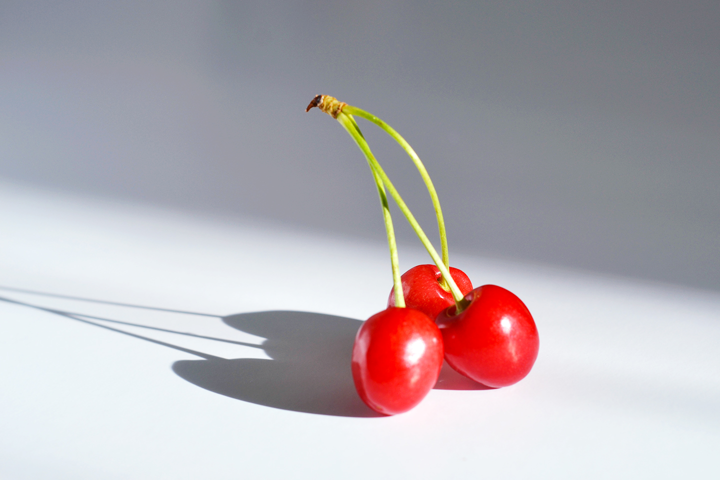 A Medieval Cherry Pudding – A Dollop of History