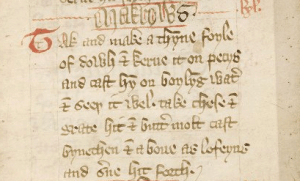 Macrows: Medieval Mac & Cheese – A Dollop of History